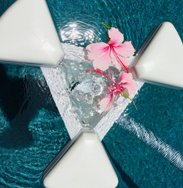 Enhancing Pool Maintenance with Dragonfly Floating Pool Skimmers ...