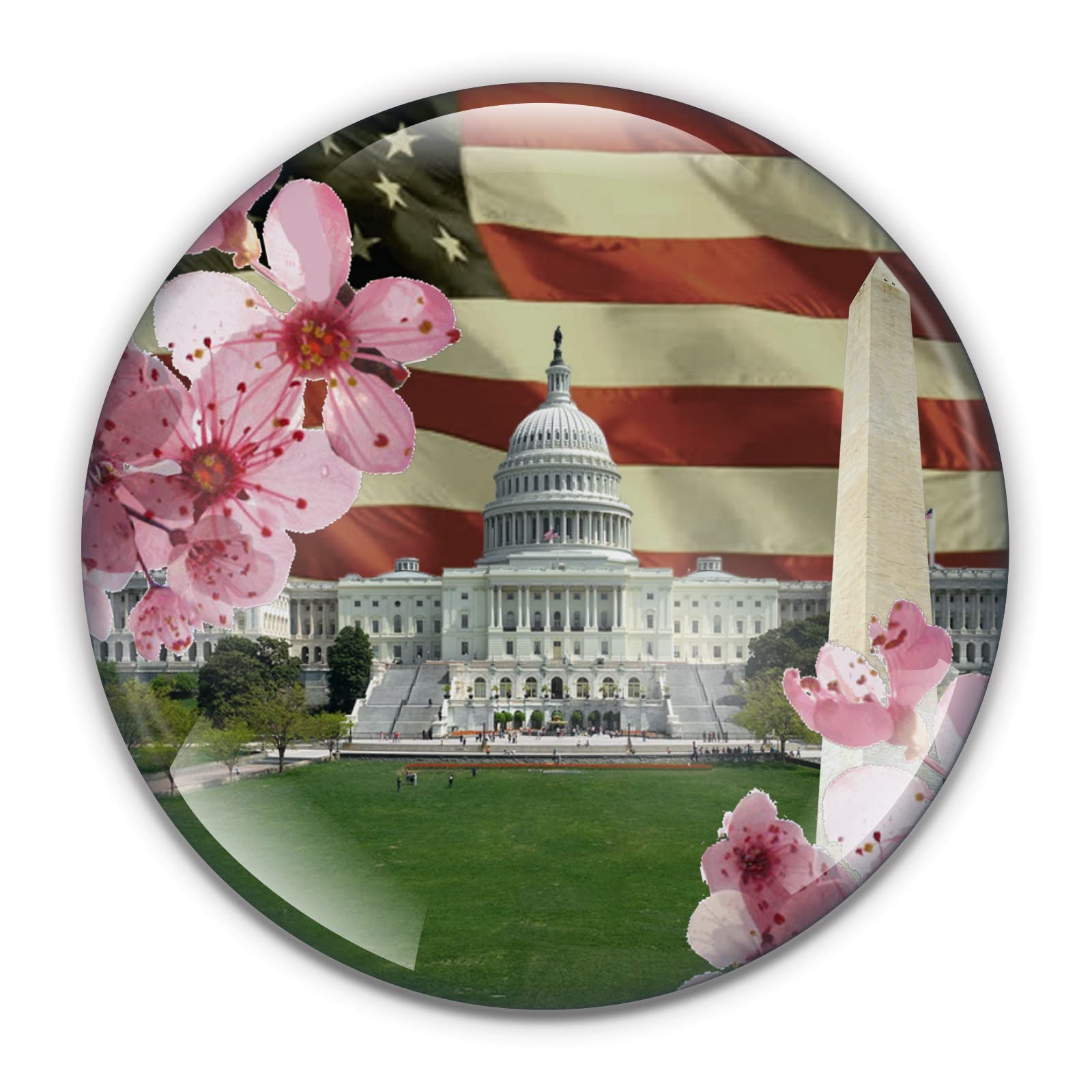 DC Collage Paperweight