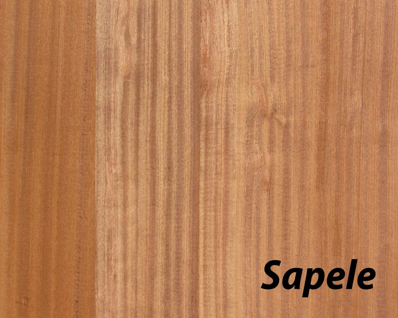 Sapele Hardwood S2S1E - Total Wood Store