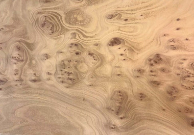 Elm, Burled Wood Veneer - Total Wood Store