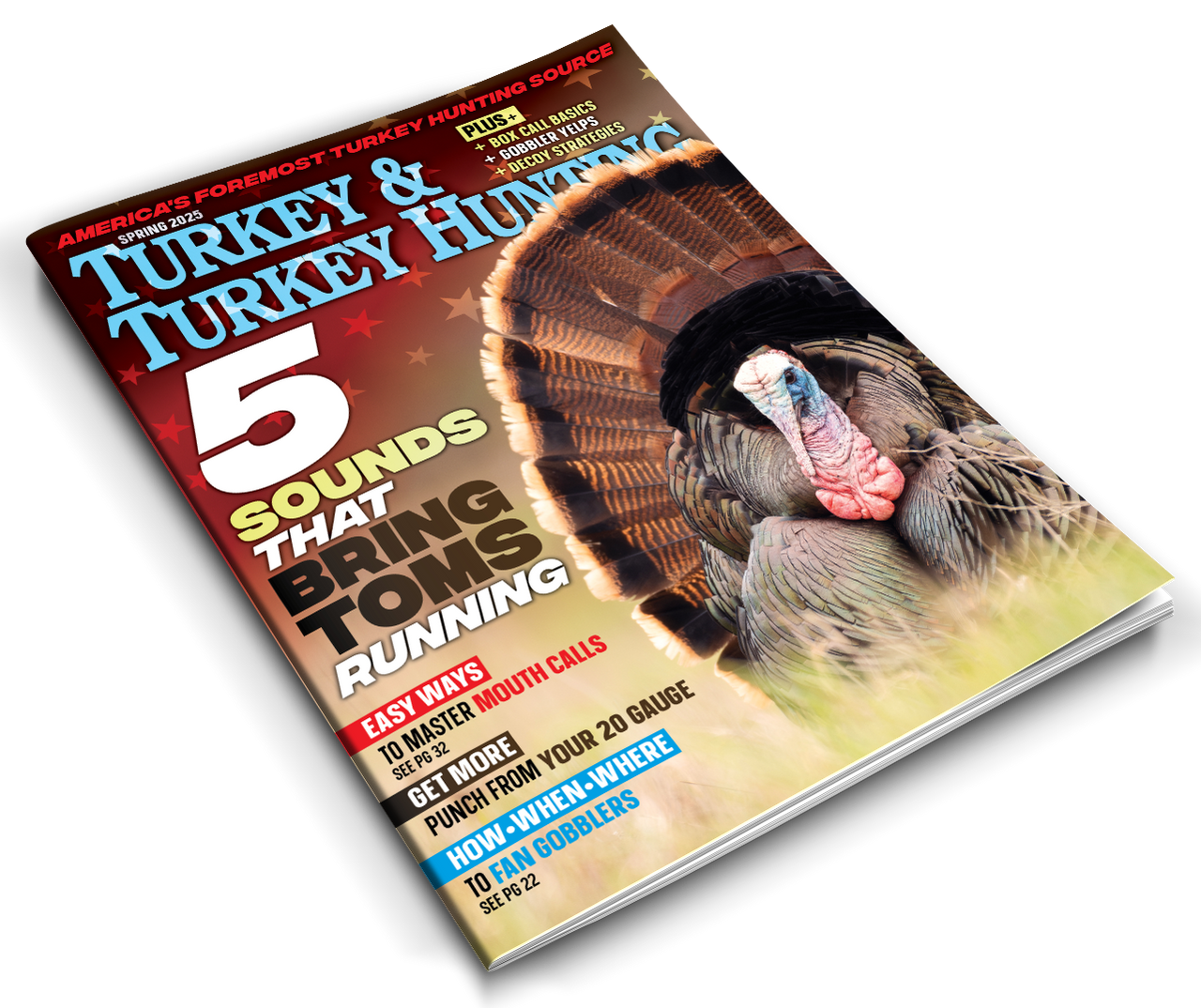 2025 Turkey & Turkey Hunting Magazine