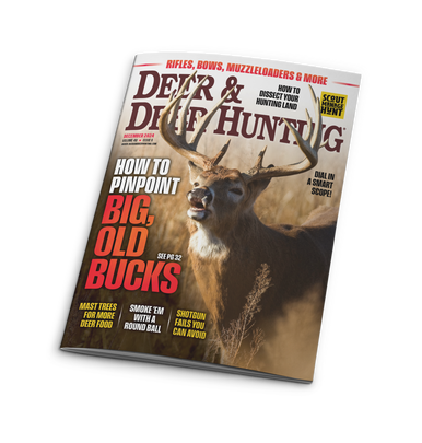 December 2024 Issue of D&DH