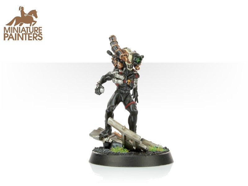 CULEXUS ASSASSIN - MINIATURE PAINTERS