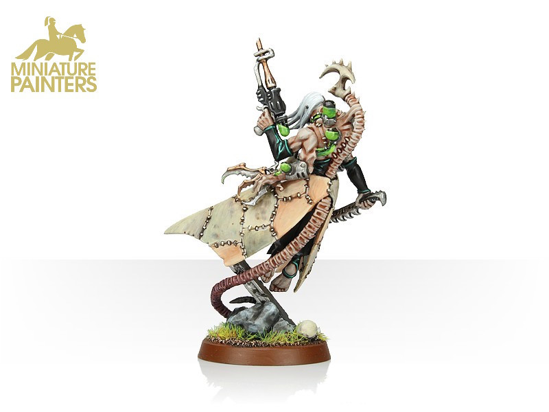 DRUKHARI HAEMONCULUS - MINIATURE PAINTERS