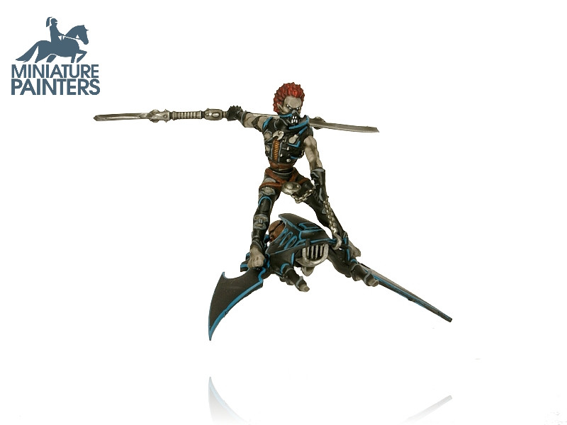 DRUKHARI HELLIONS - MINIATURE PAINTERS