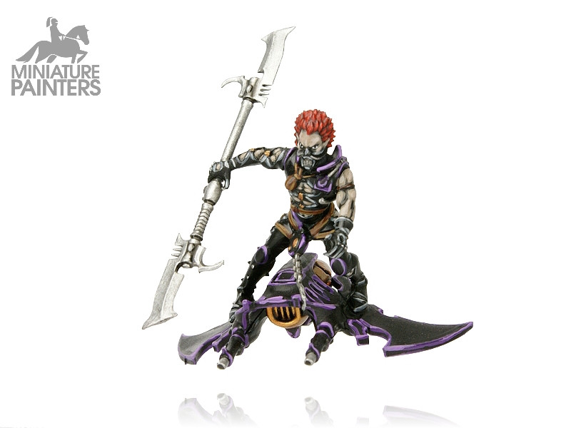 DRUKHARI HELLIONS - MINIATURE PAINTERS