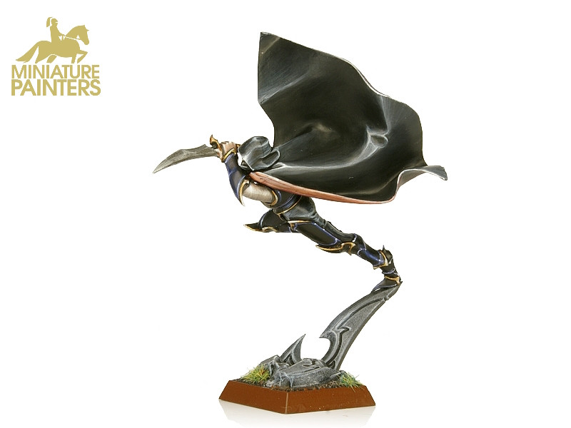 VINDICARE ASSASSIN - MINIATURE PAINTERS