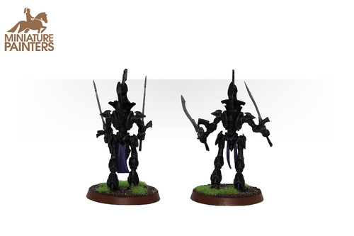 CRAFTWORLDS WRAITHBLADES - MINIATURE PAINTERS