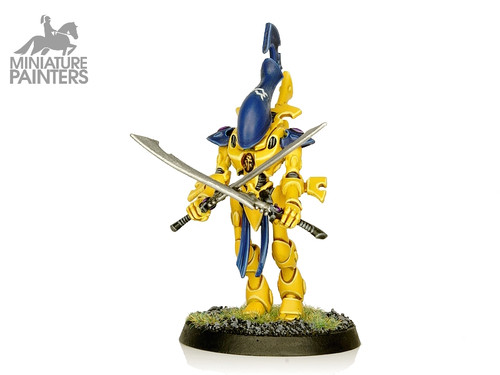 CRAFTWORLDS WRAITHBLADES - MINIATURE PAINTERS