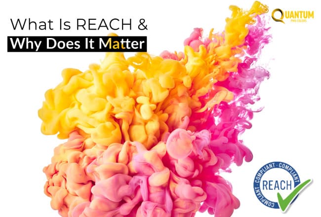 What Is REACH and Why Does It Matter - Quantum PMU