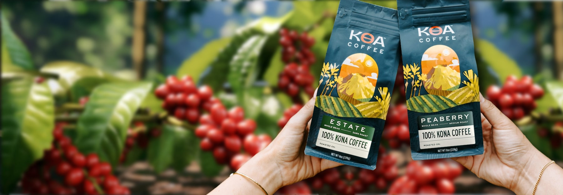 Koa Premium Hawaiian Coffee