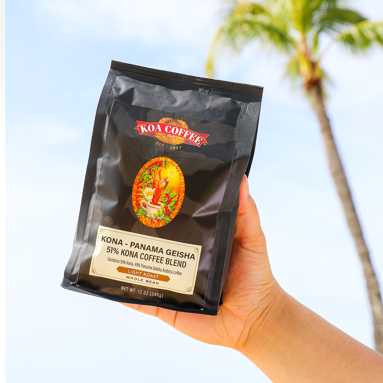 Kona Panama Geisha - LIMITED RELEASE - Koa Coffee