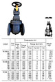 IMPA 750803 GATE VALVE F7363 5K 5K-80 JIS CAST IRON 80 MM 200 MM 180 MM ...