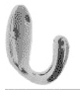 IMPA 491002 WARDROBE HOOK BRASS
