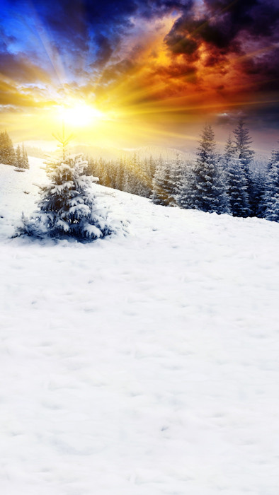 Christmas Sunrise Backdrop | Photo Pie
