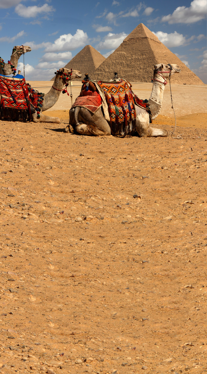 Pyramid Transportation Backdrop | Photo Pie