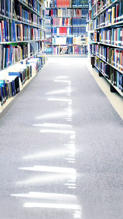 Public Library Backdrop | Photo Pie