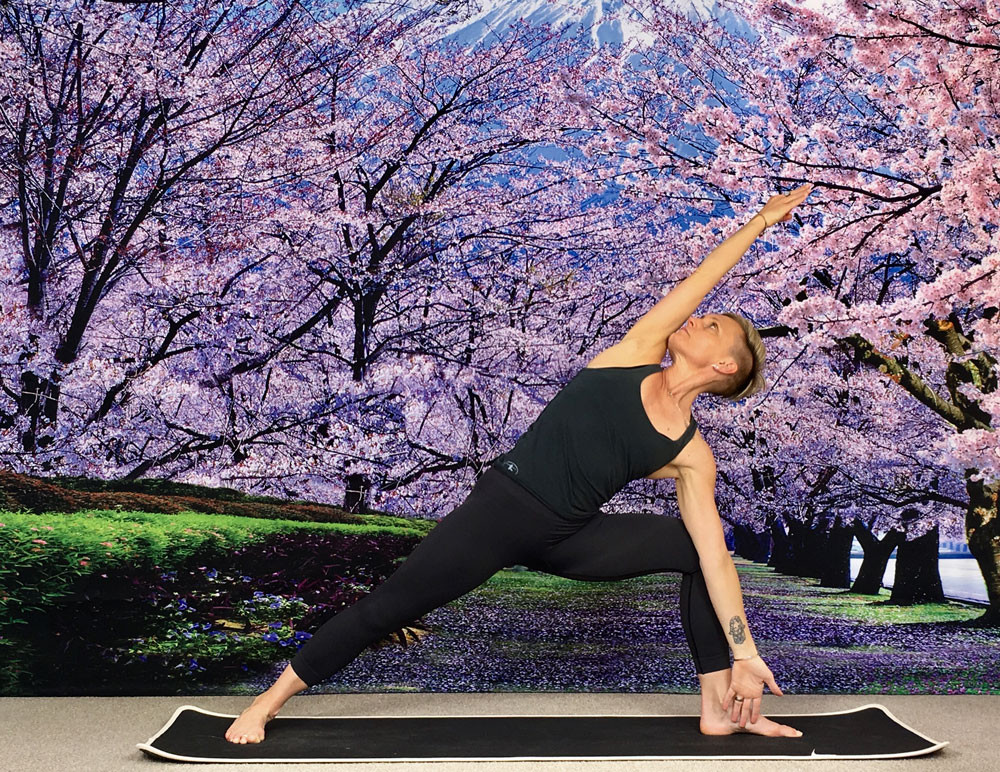 Cherry Blossom Trail Backdrop | Photo Pie