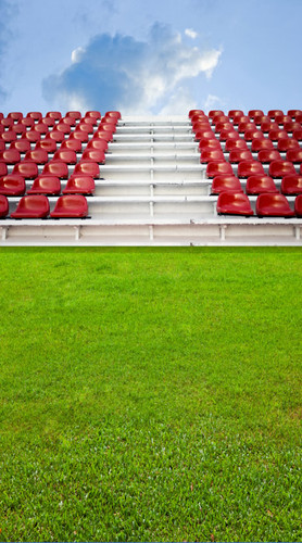 Sports Themed Backdrops for Photography | Photo Pie