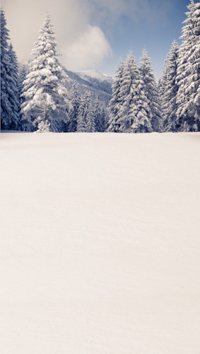 Snowy Mountain Top Backdrop | Photo Pie