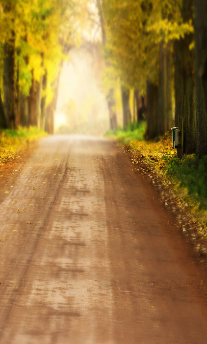 Fall Road Backdrop | Photo Pie