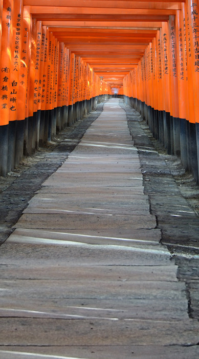 Japanese Passage Backdrop | Photo Pie