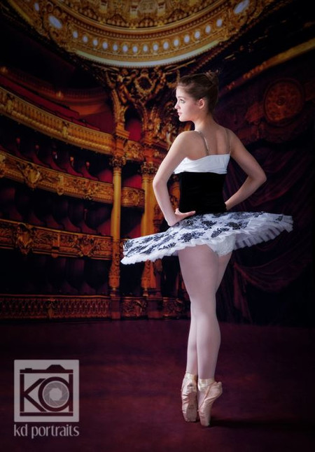 Rotunda Theater Backdrop | Photo Pie