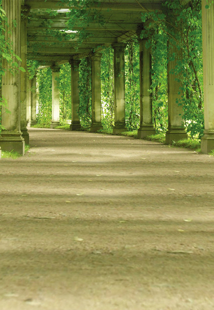 Ivy Passage Backdrop | Photo Pie