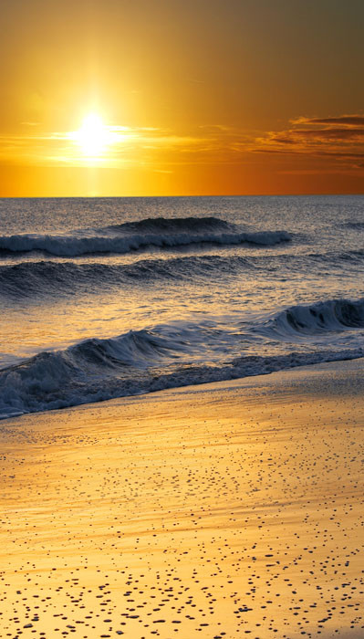 Sand and Sun Backdrop | Photo Pie
