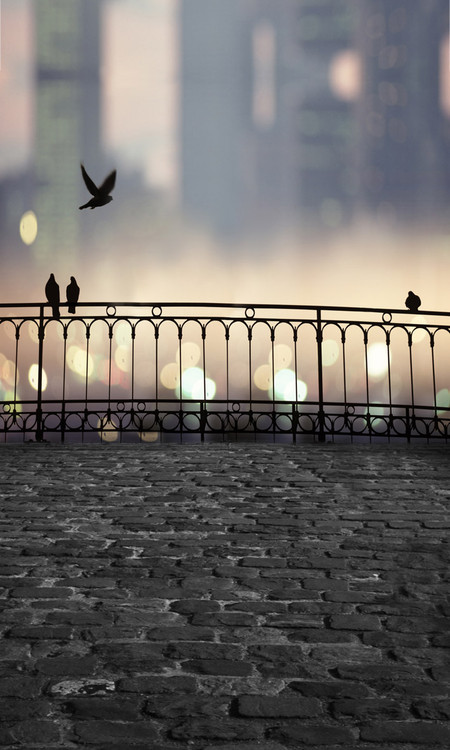 Evening Bridge Backdrop | Photo Pie