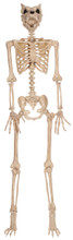 60" Werewolf Pose-N-Stay Skeleton