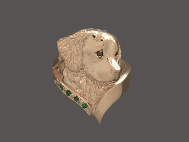 Golden Retriever Ring Split - Originals by Omar