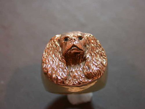 Cavalier King Charles Ring Head Front View - Originals by Omar