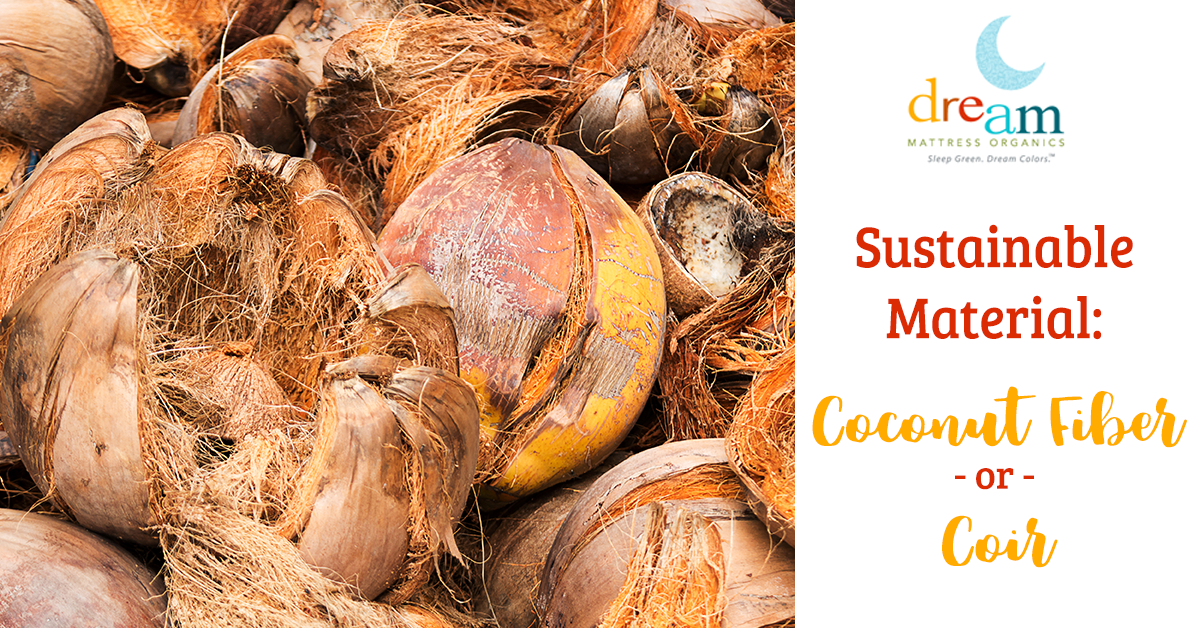 Sustainable Material: Coconut Fiber, or Coir - Dream Mattress Organics
