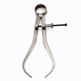 6" Outside Caliper - TreelineUSA