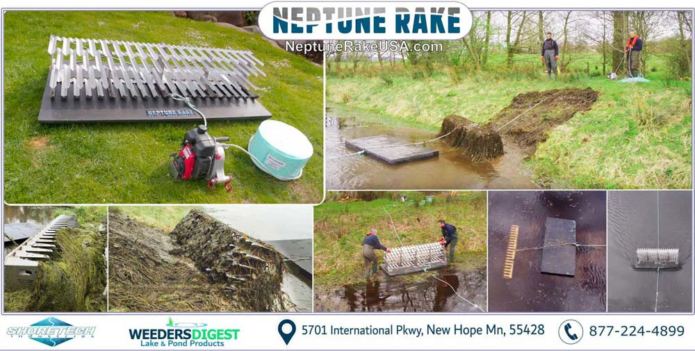 Aquatic Weed Control | Pond & Lake Restoration | Weeders Digest