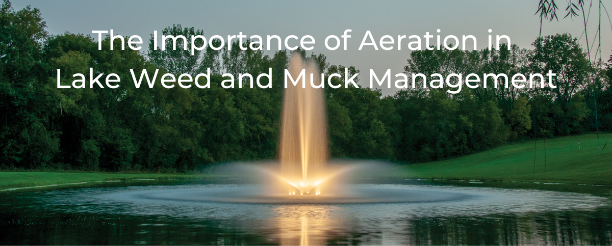 The Importance of Aeration in Lake Weed and Muck Management - The ...