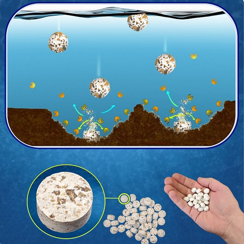 AquaThruster | Lake Muck Blower | Underwater Fan