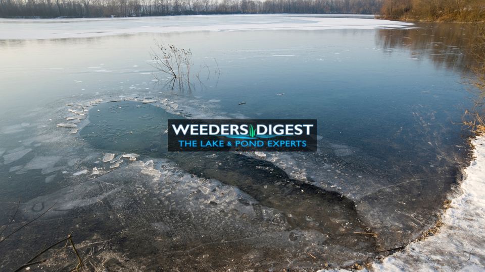 Muck Control for Ponds and Lakes: How to Manage Winter Buildup the ...