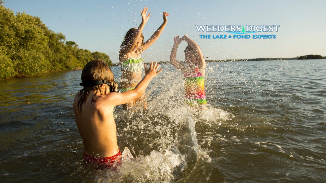 Best Muck Removal Tools for Summer 2025 - The Weeders Digest