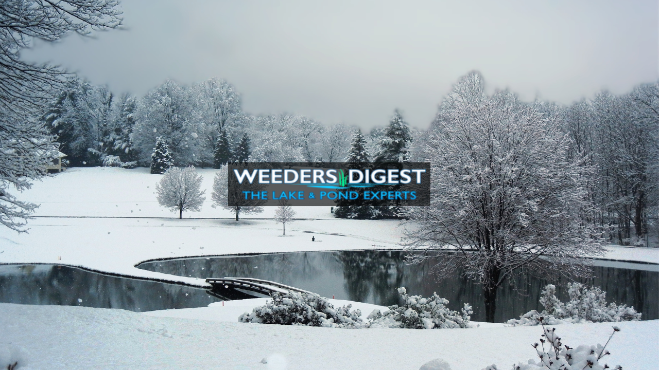Winter Pond Care Essentials: Protecting Your Pond or Lake from Freezing ...