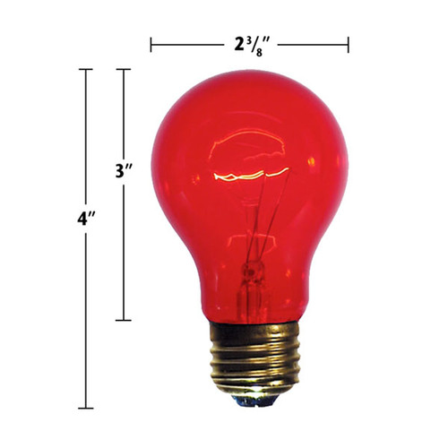 A19 E29 Transparent party Bulb 25 Per Pack –Vibrant Lighting