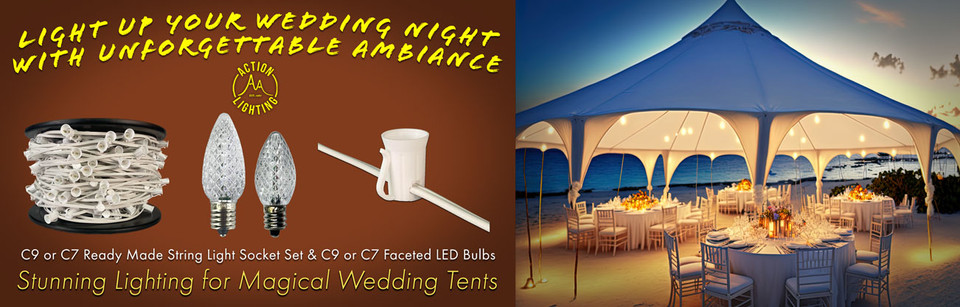 Home & Commercial Holiday Light Supplier | Action Lighting