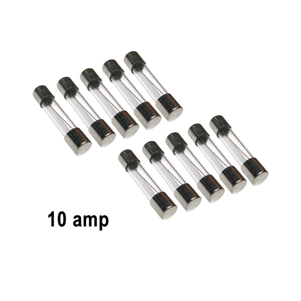 Replacement 10 amp Standard Fuses (223FUSE-10L) - Action Lighting™, Inc.