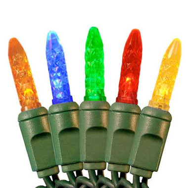 M5 70 LED Light Set 25 Foot - LED Lighting