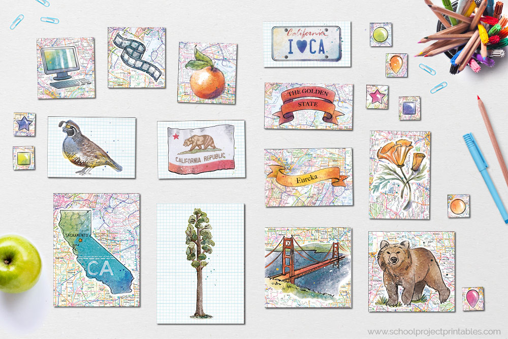 California State Report Display Board Poster Project Kit - School ...