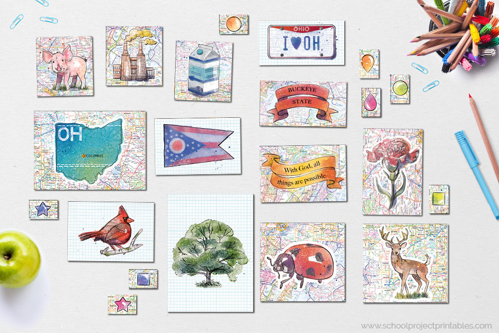 Ohio State Display Report Display Board Poster Project Kit - School ...