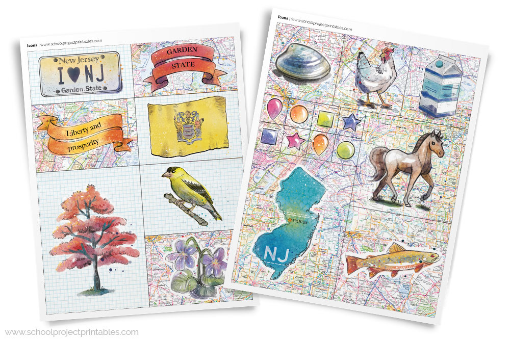 New York State Report Clip Art Icon Symbols Set - School Project Printables
