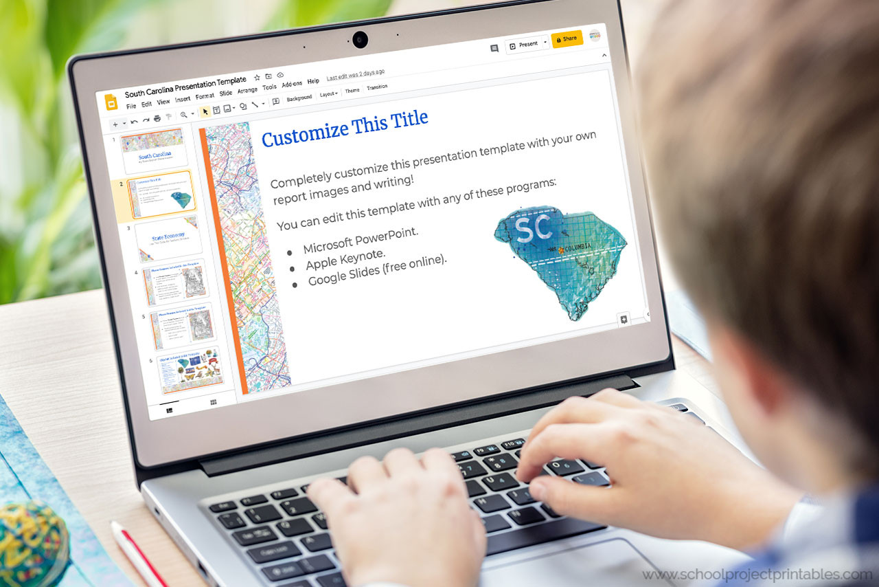 South Carolina State PowerPoint Template Theme - School Project Printables