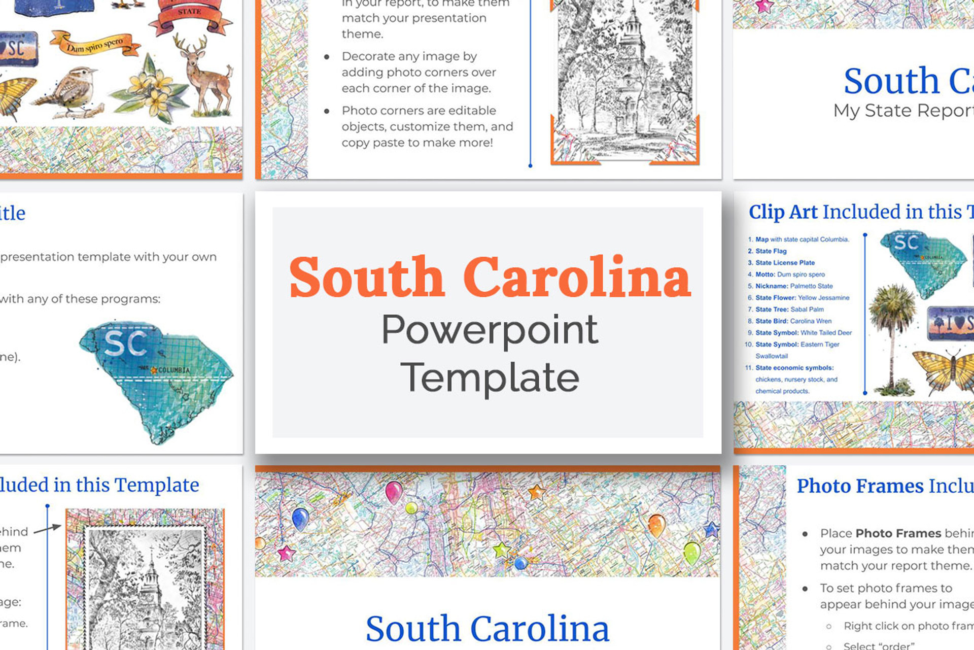 South Carolina State PowerPoint Template Theme - School Project Printables